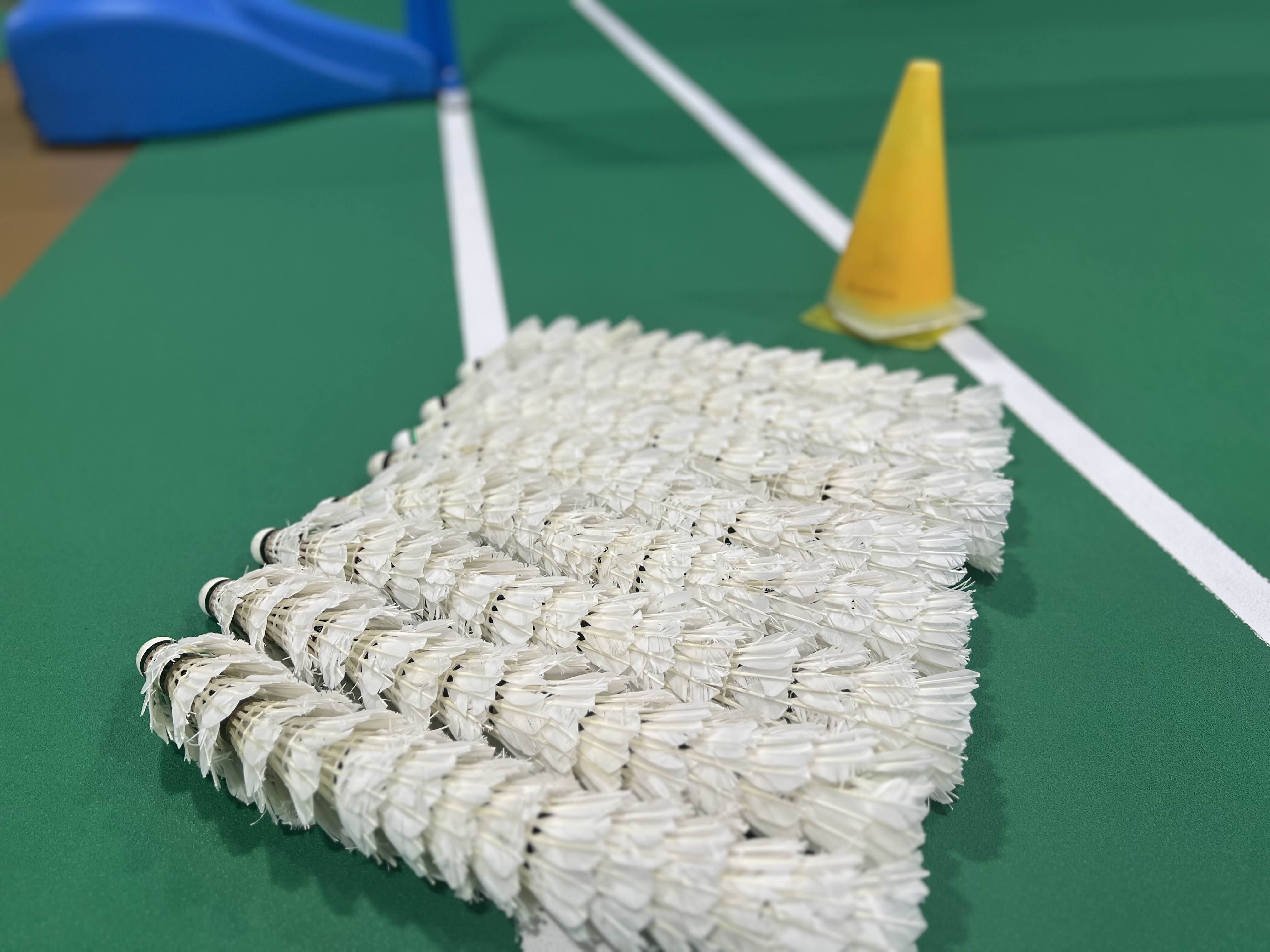 Hymus Sports - Badminton & Fitness